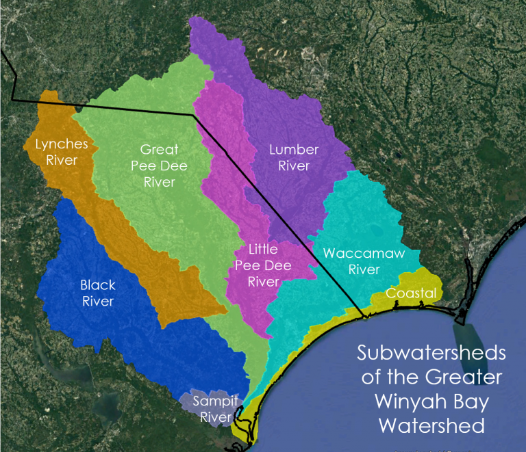 Winyah Rivers Alliance - Non-Profit Organization - Protecting Clean Water
